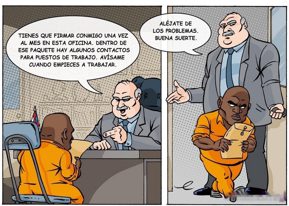 Ted Comic Porno