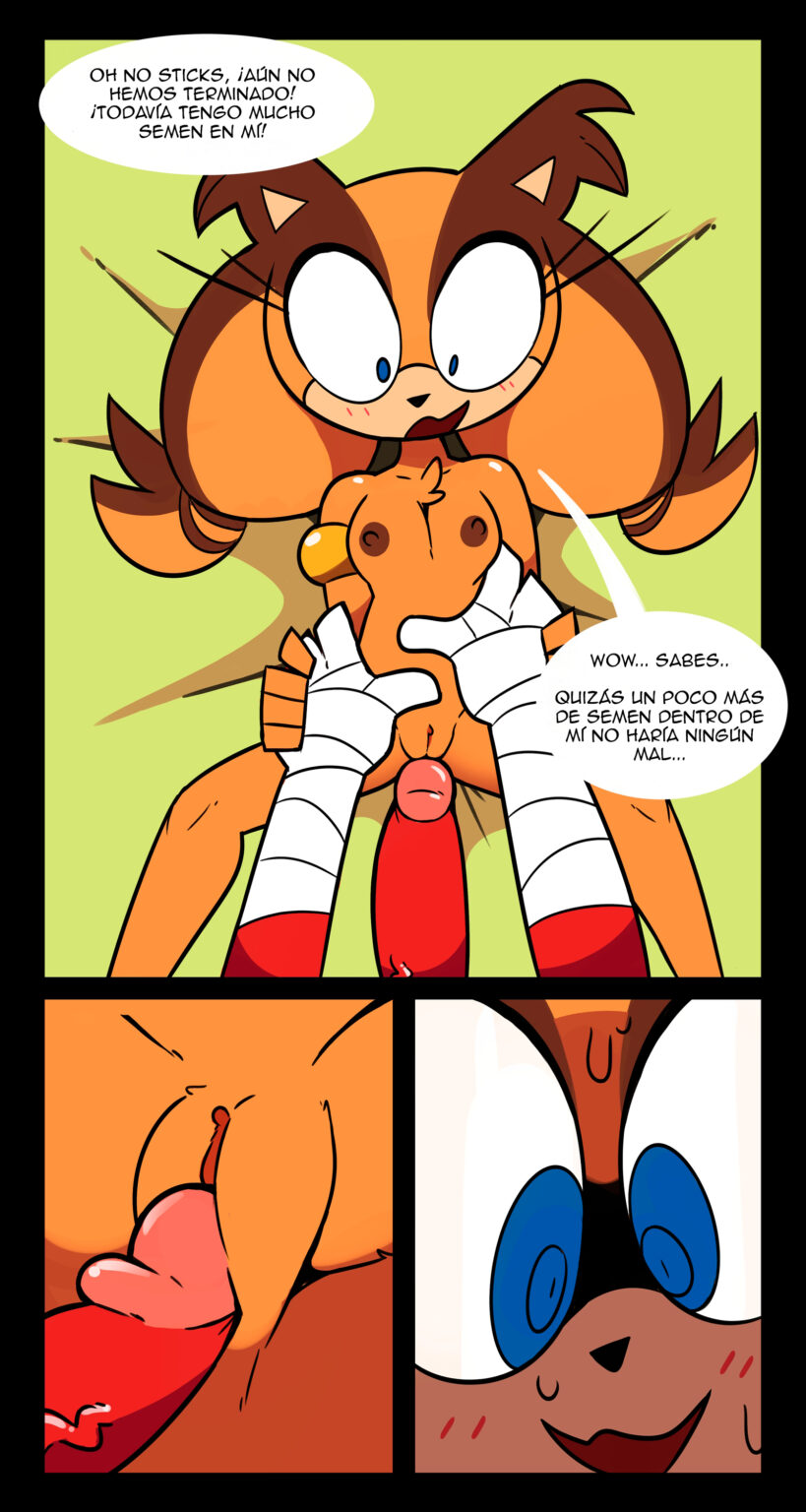 Sticks X Knuckles Misconamour