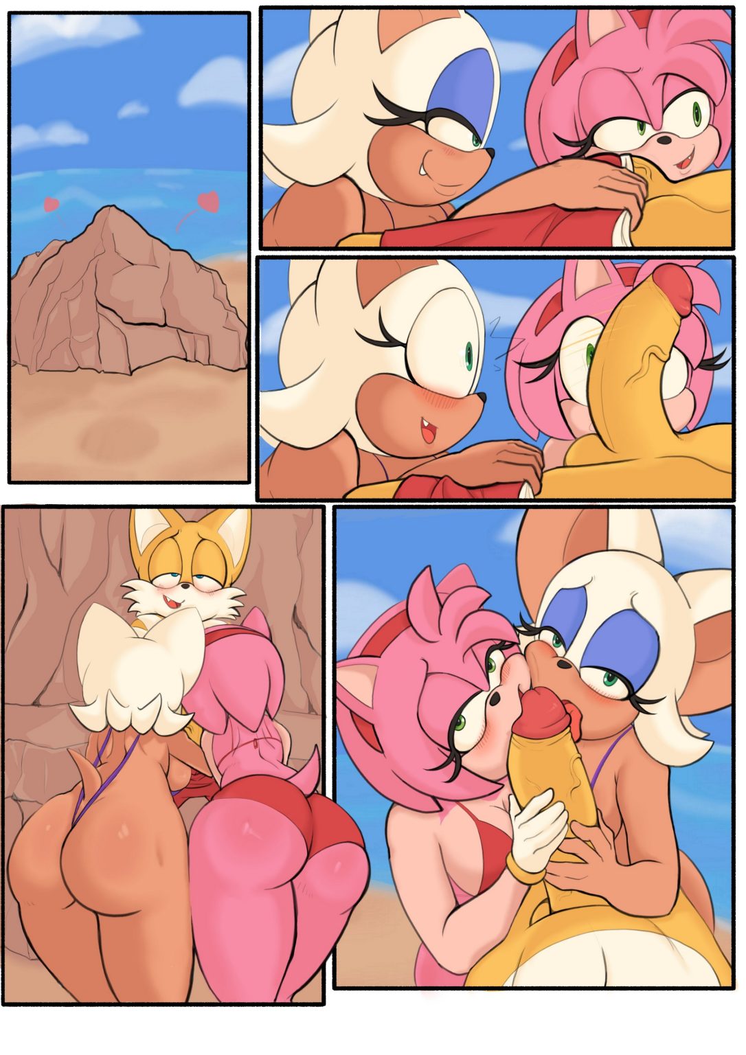 Tails At The Beach Pinkfalcon